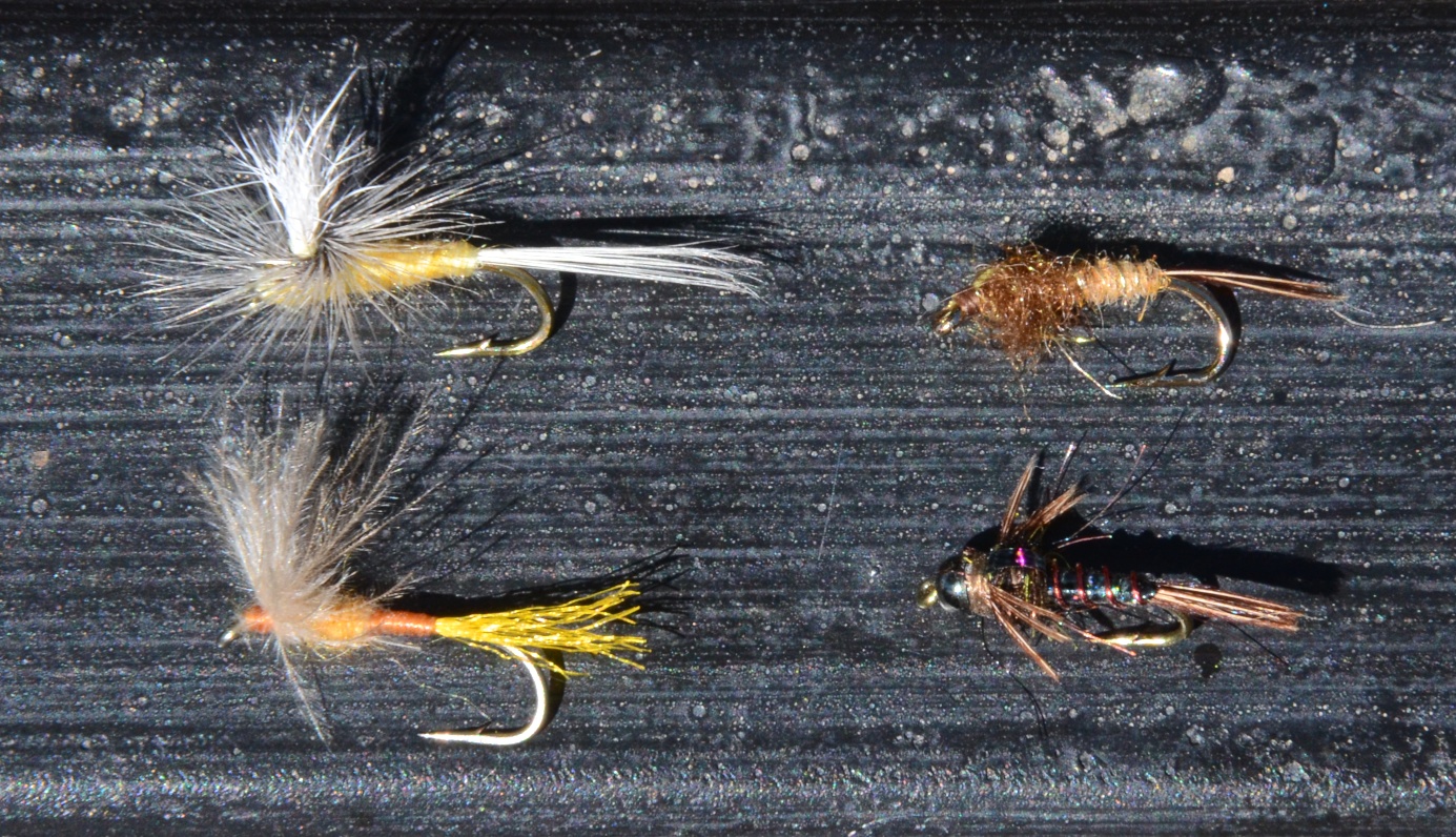 Bighorn River Report: Dry Fly Opportunities! - Bighorn Trout Shop